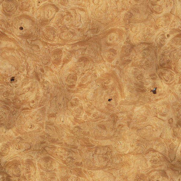 Atlas Holz AG - Radica di Castagno | Free CAD- & BIM-Textur