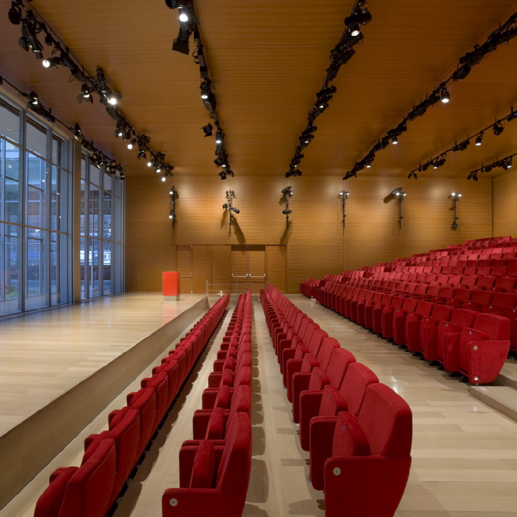 Topakustik - Typ 19/2M – Lärche | Free CAD-Textur